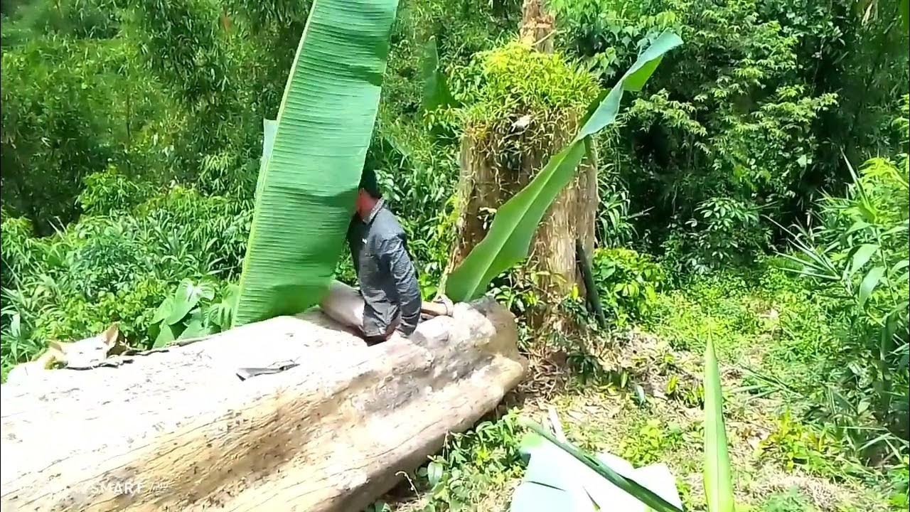 hnub no peb mus luaj teb ntoo yas - YouTube