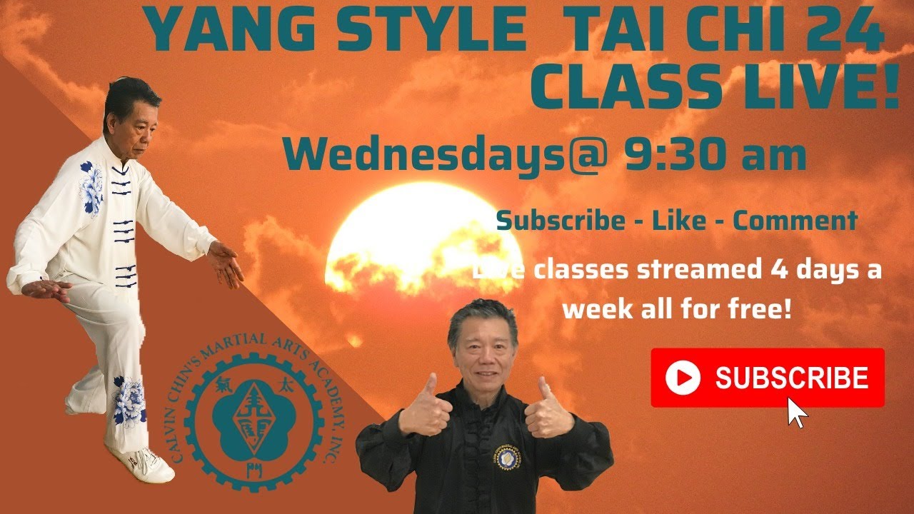 New Short Video Series Yang Style Tai Chi 24 form - YouTube