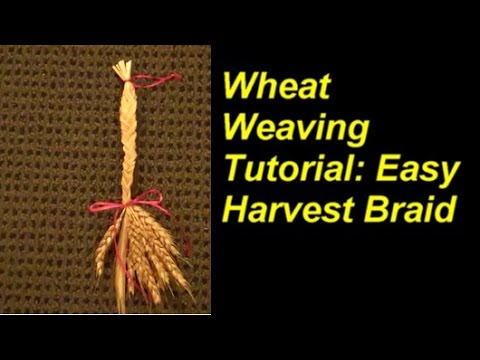 Wheat Weaving: Easy Harvest Braid - YouTube