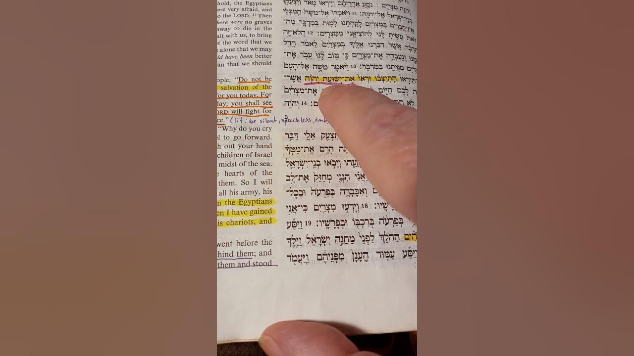 Very significant!! ET-Yeshua of YHVH - YouTube