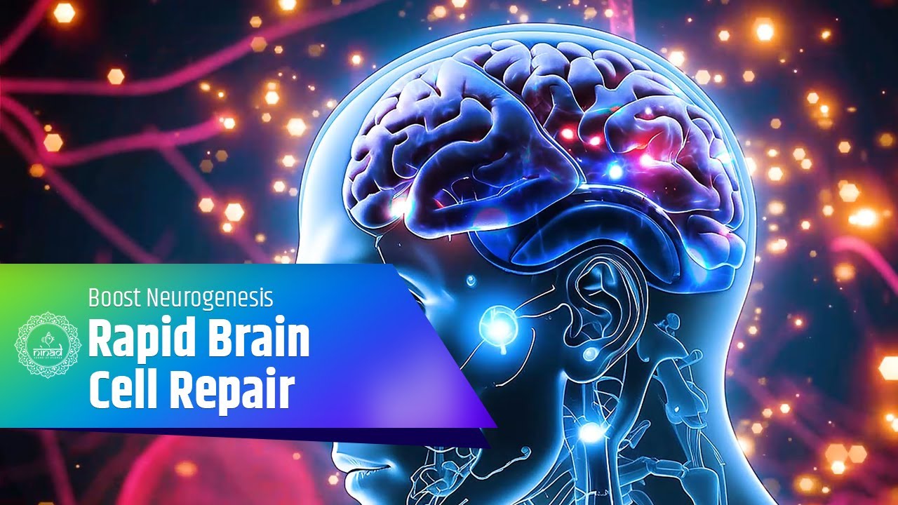 Boost Neurogenesis For Rapid Brain Cell Repair | Brain Calming Healing ...