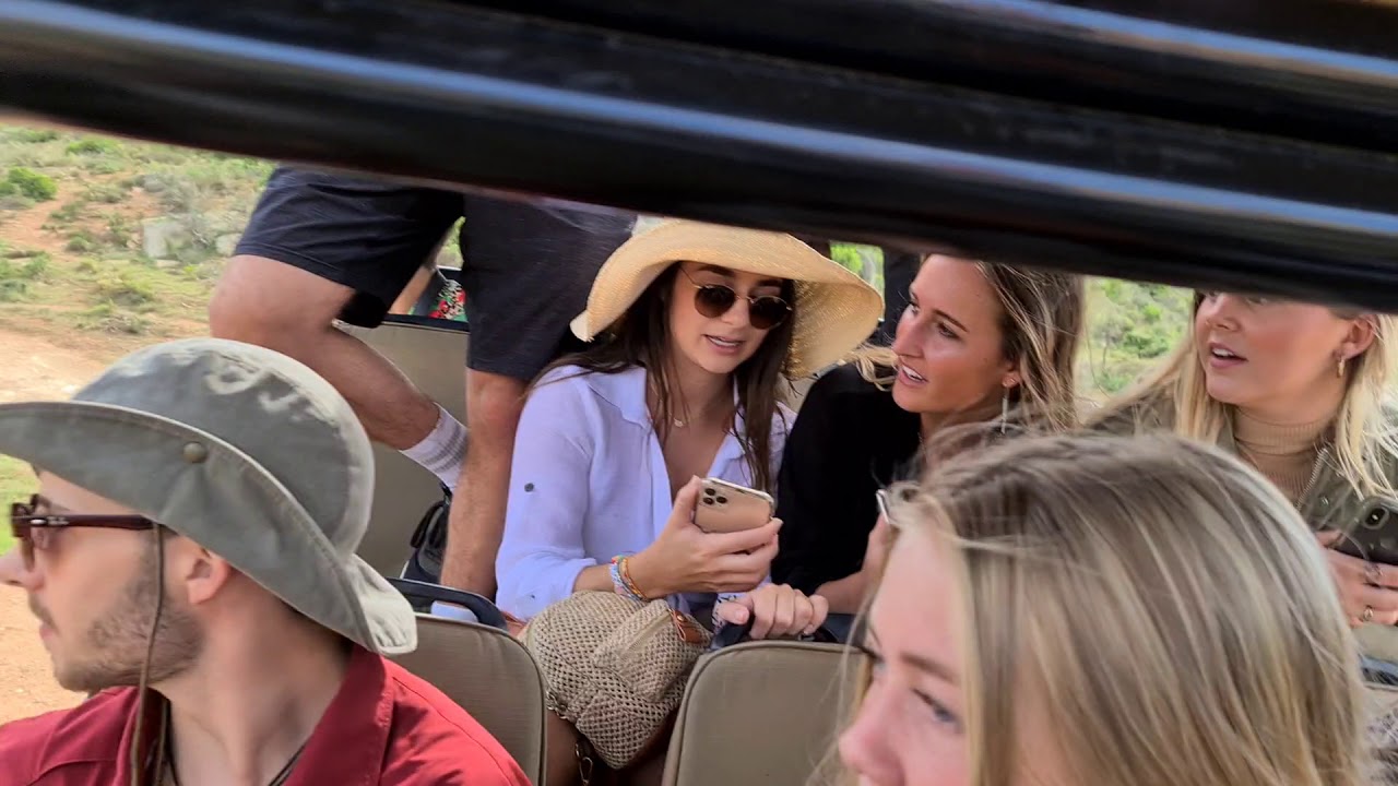 Buffalo encounter on safari drive! - YouTube