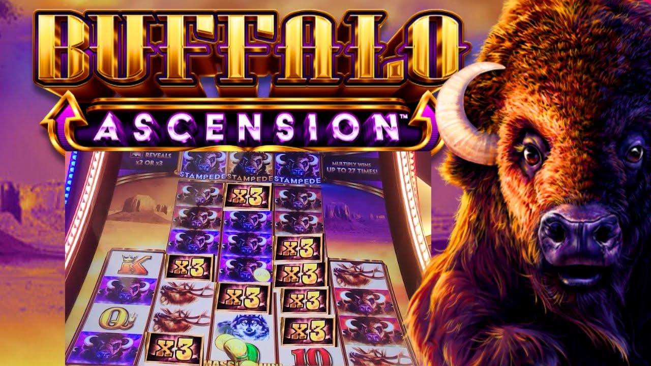 BUFFALO ASCENSION 💥5400 WAYS FREE SPINS SPOILER STAMPEDE💥 PAID 200X for ...