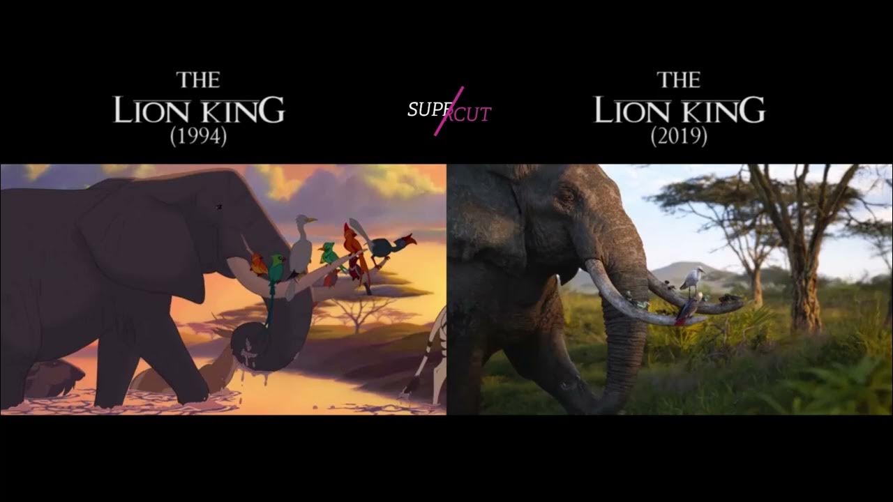 Original vs. Remake: The Lion King 1994 & 2019 - YouTube