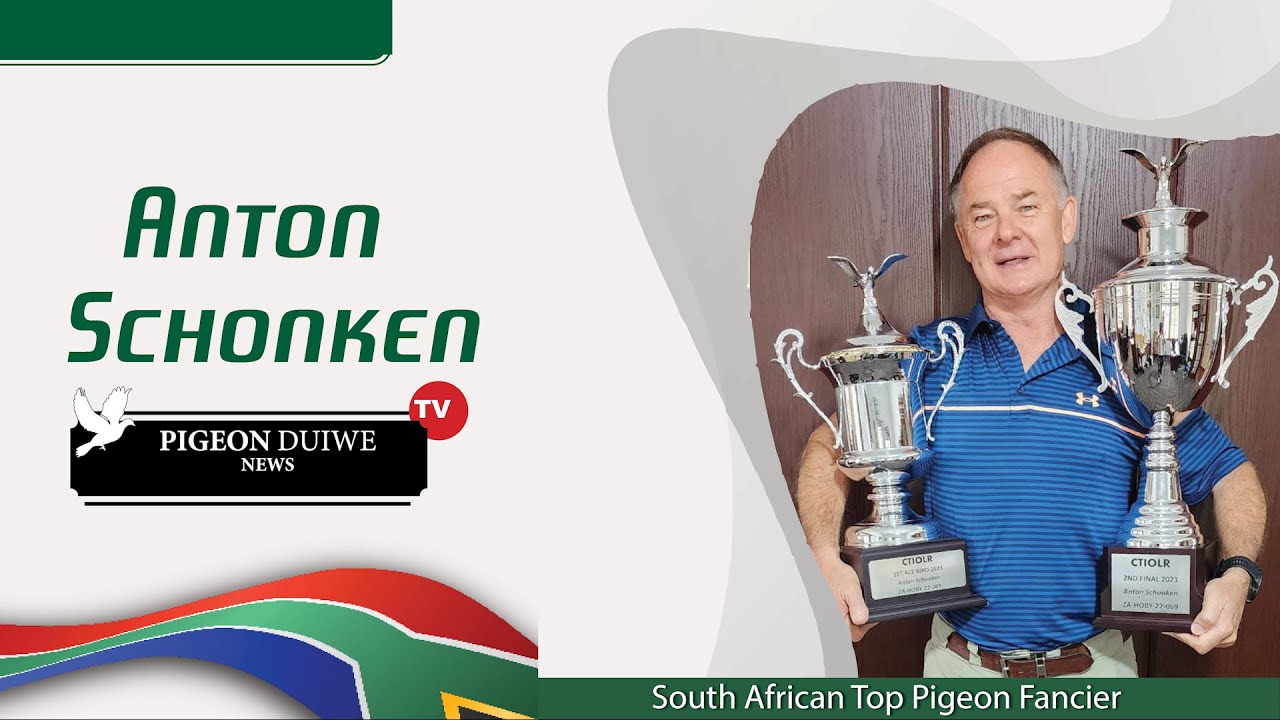 Pigeon Duiwe News TV- Anton Schonken - SA Top Pigeon Fancier. S2: E13 ...