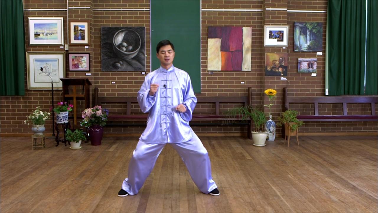 Tai Chi 24 Form step by step instructions (Paragraph 2) - YouTube