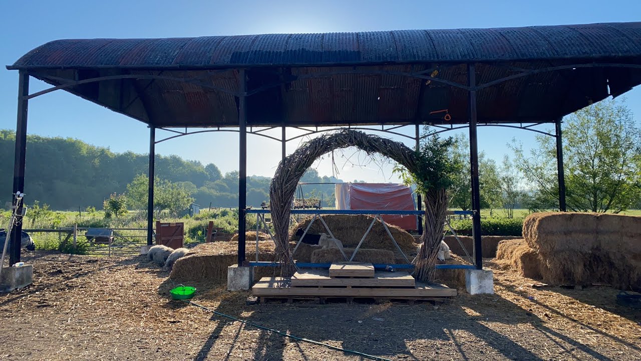 Sunday morning rush hour live at the farm - YouTube