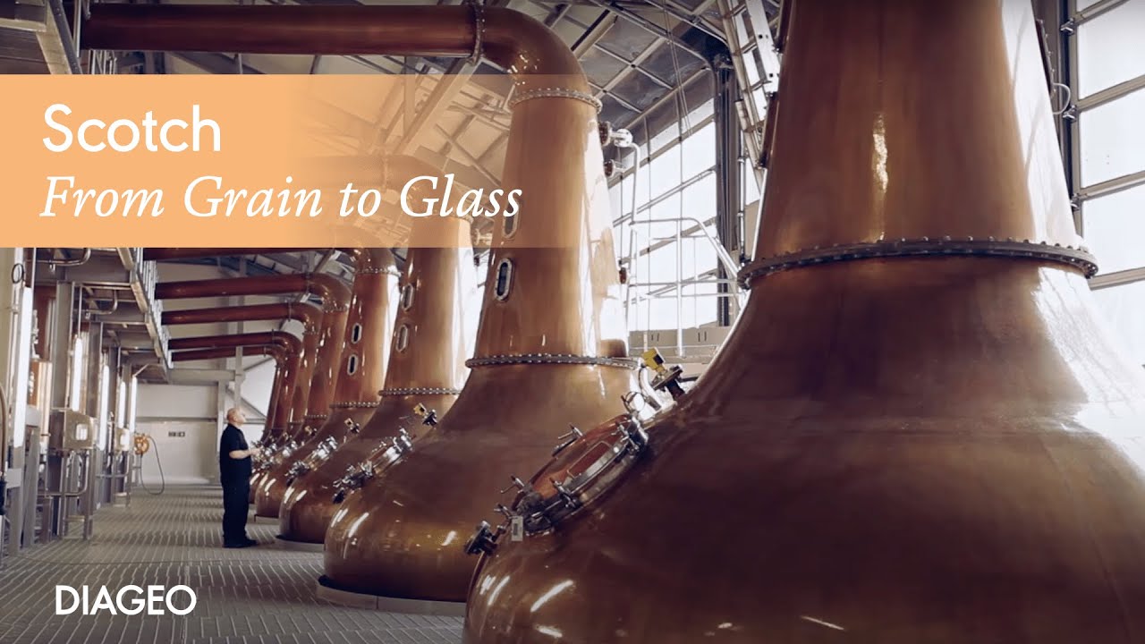The Making of Scotch Whisky, from Grain to Glass | Diageo - YouTube