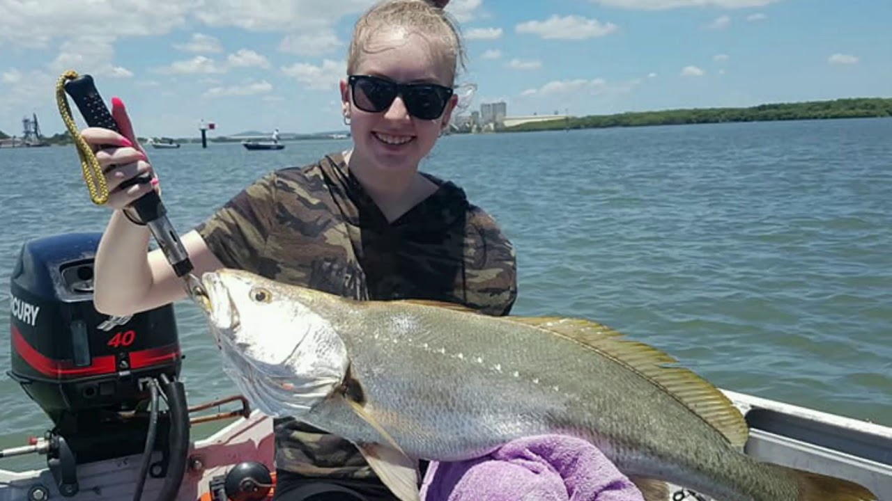 Jewfish - Brisbane River - YouTube