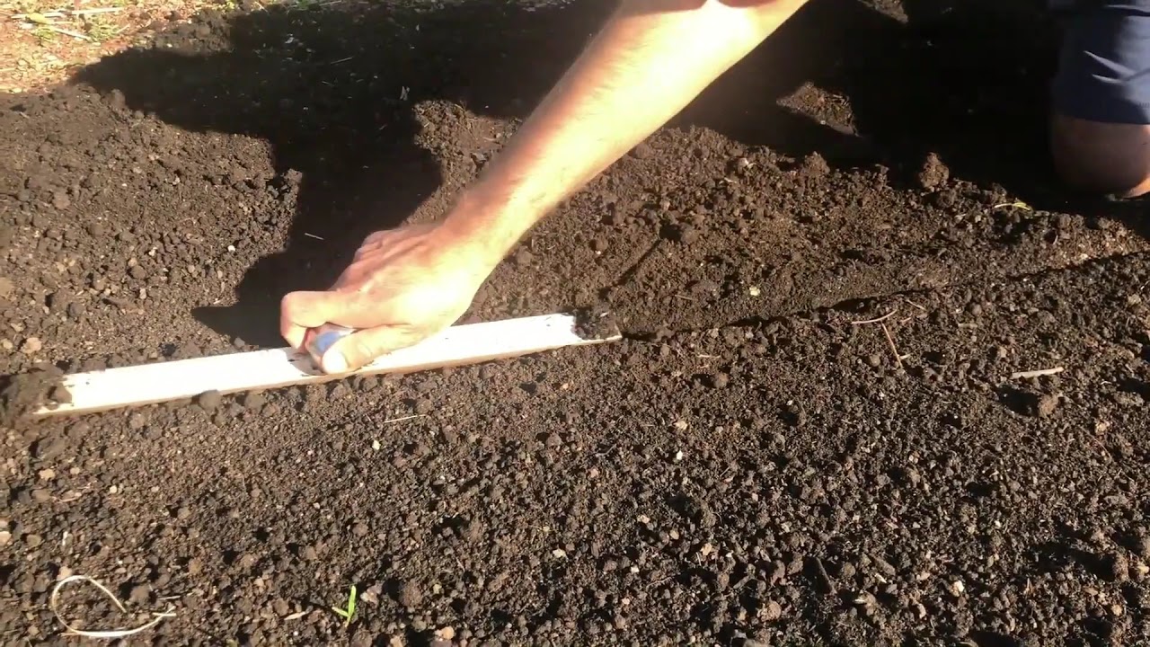 The Perfect Rowmaker - YouTube