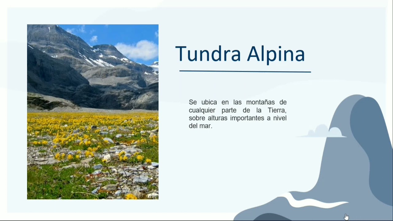 LA TUNDRA - Uno de los biomas mas fríos del mundo - YouTube