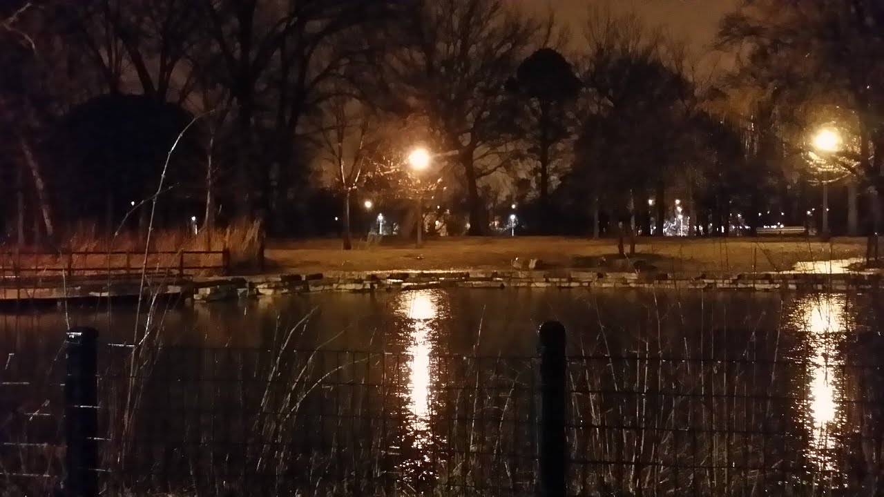 ASMR Sleep Night Walk at Park Rain Drops - YouTube