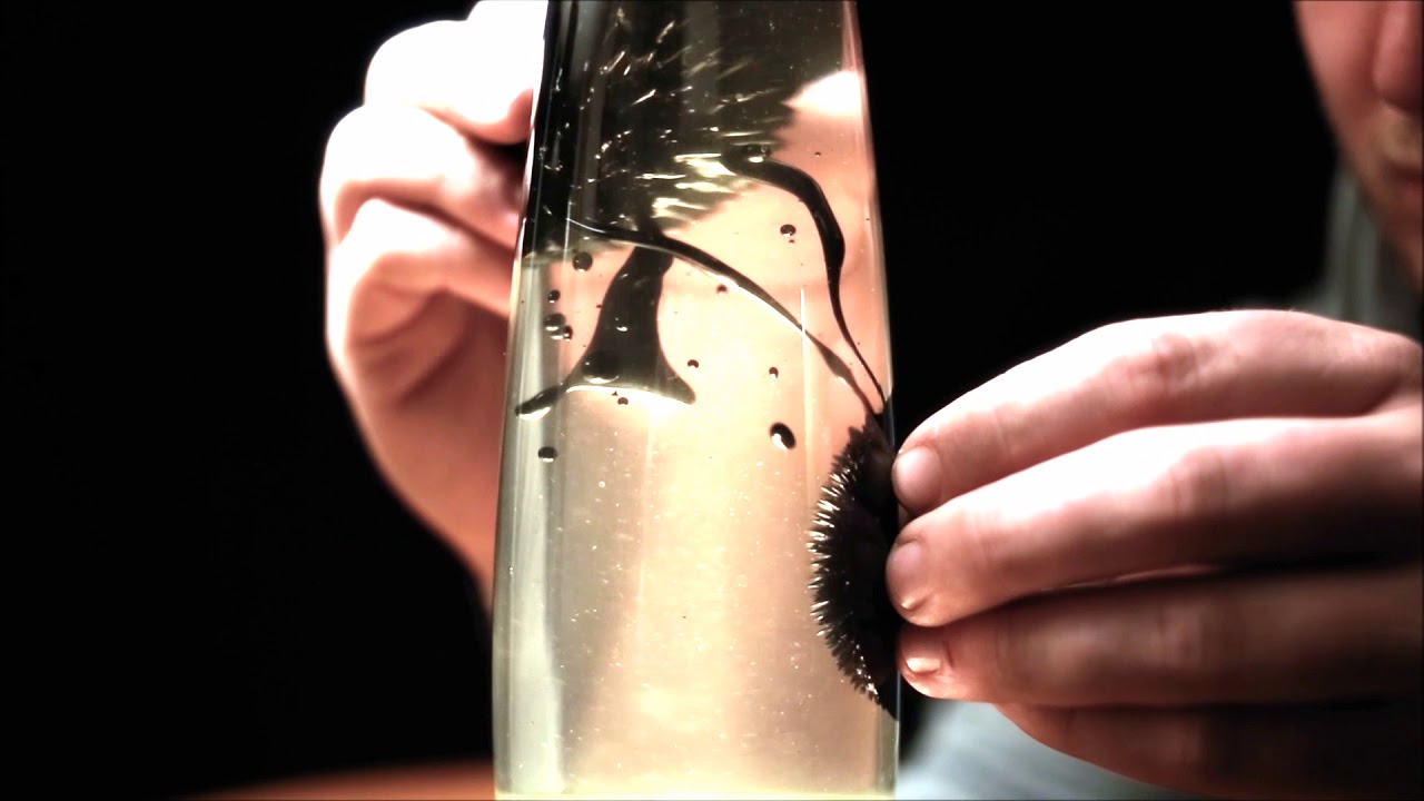 Interactive Ferrofluid Lava Lamp - YouTube