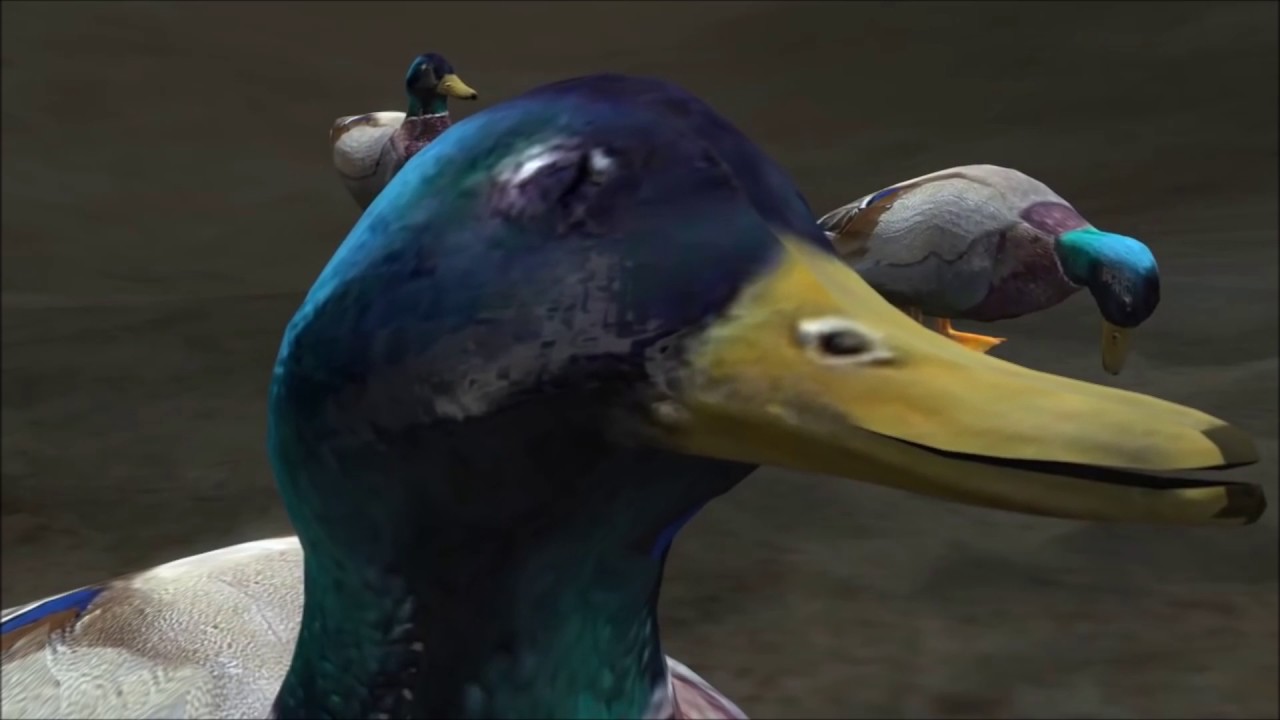Duck.exe has to be continued - YouTube