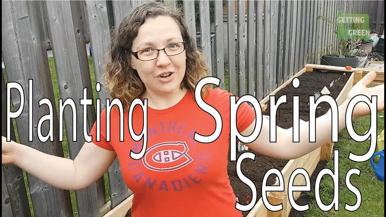 Planting Spring Seeds in the Raised Garden Bed - YouTube