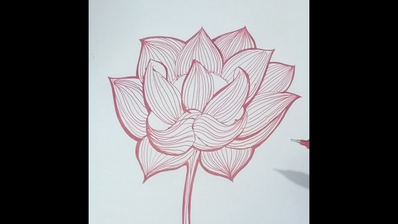 Lotus flower drawing with pen step by step for beginners | Pen drawing ...