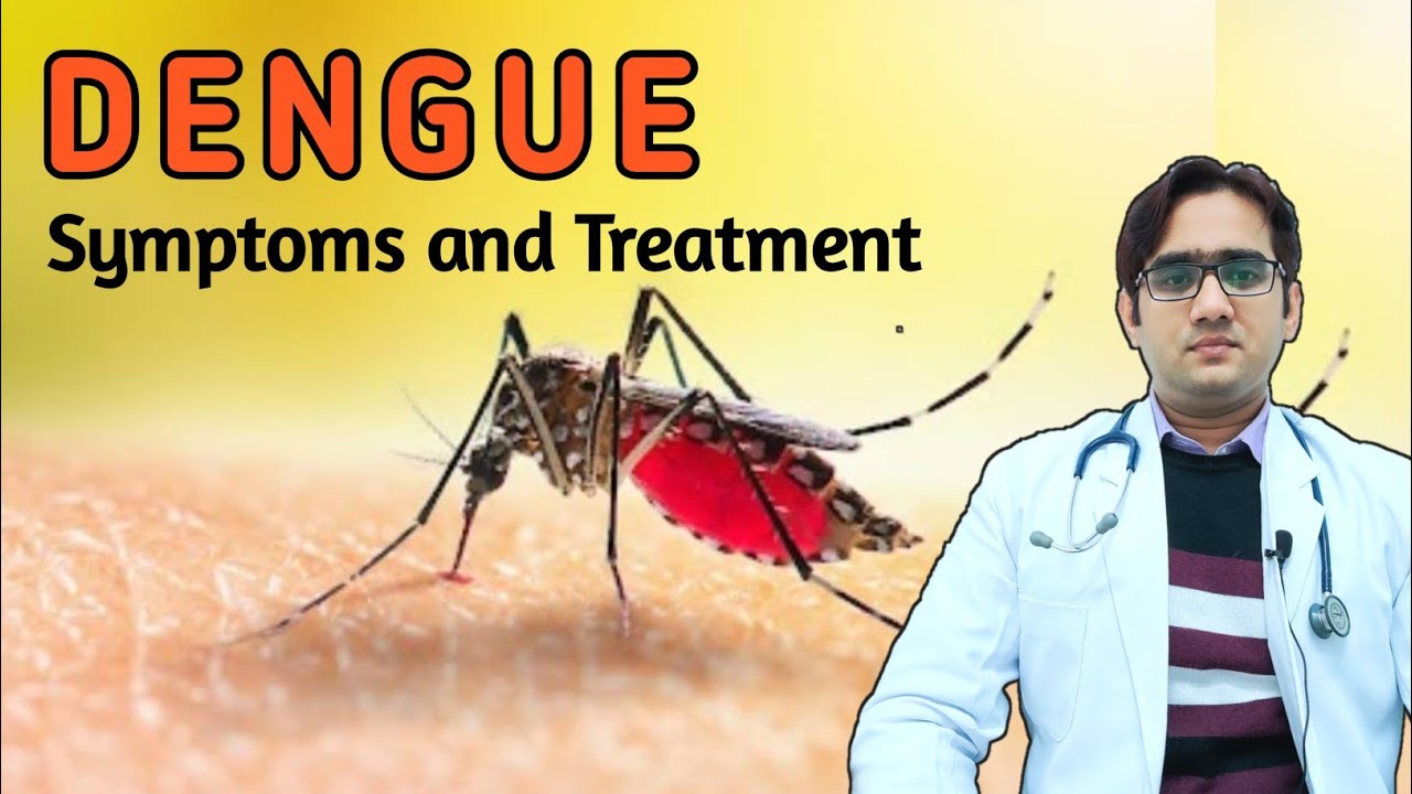 Dengue Fever Symptoms, Treatment and Prevention| डेंगू बुखार, लक्षण और ...