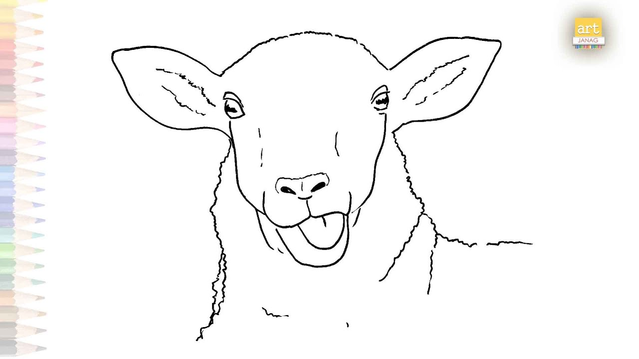 Mockery sheep drawing easy | Animal outline sketches | How to draw A ...