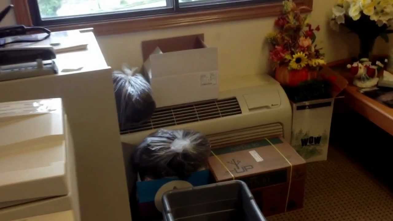 Lab reception and general office - YouTube