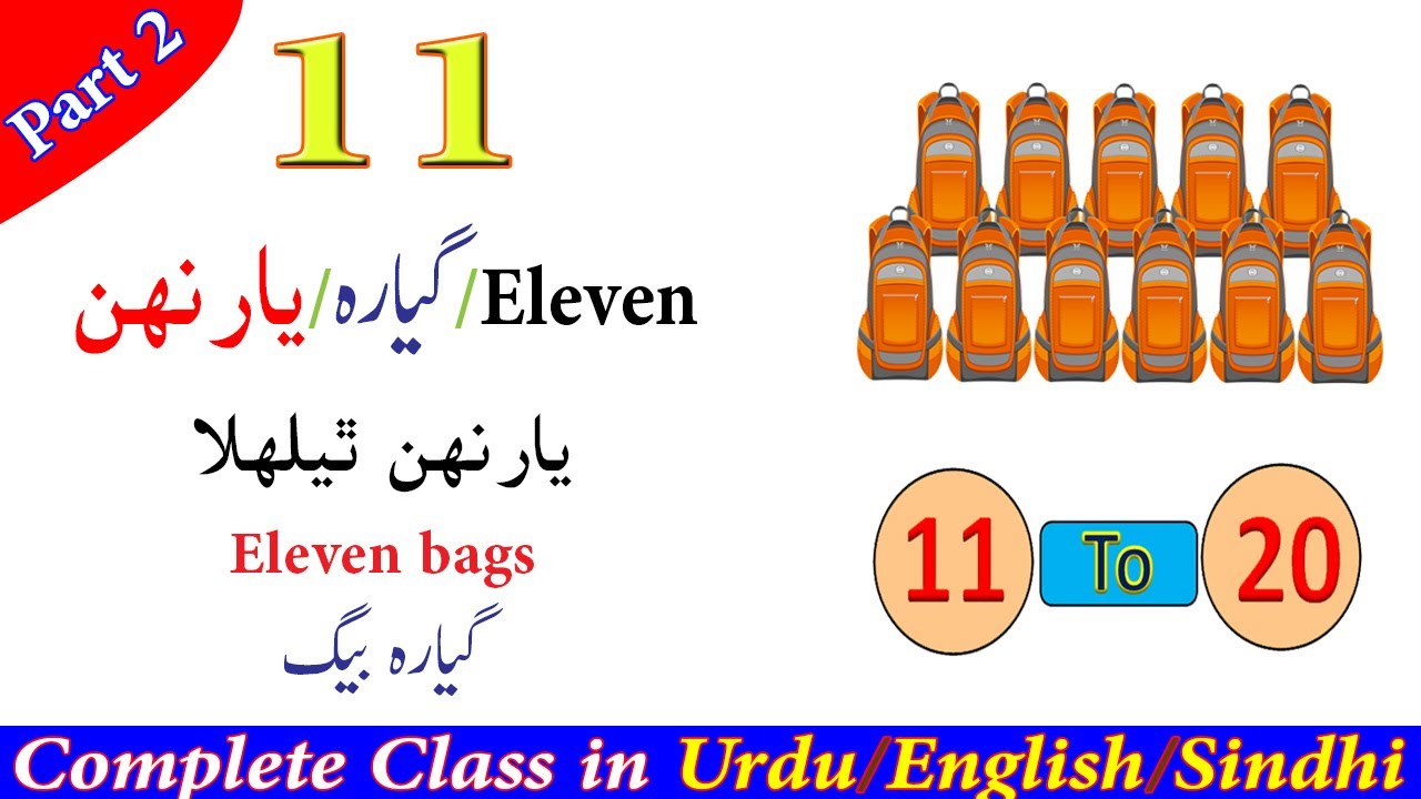 Learn About Numbers In English Urdu Sindhi 11 To 20 Learn Number learn-about-numbers-in-english-urdu-sindhi-11-to-20-learn-number