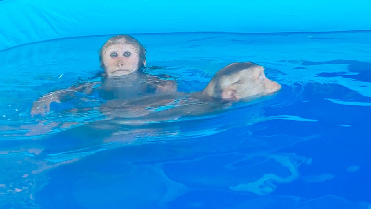 Sam boy & Asher swimming underwater - YouTube