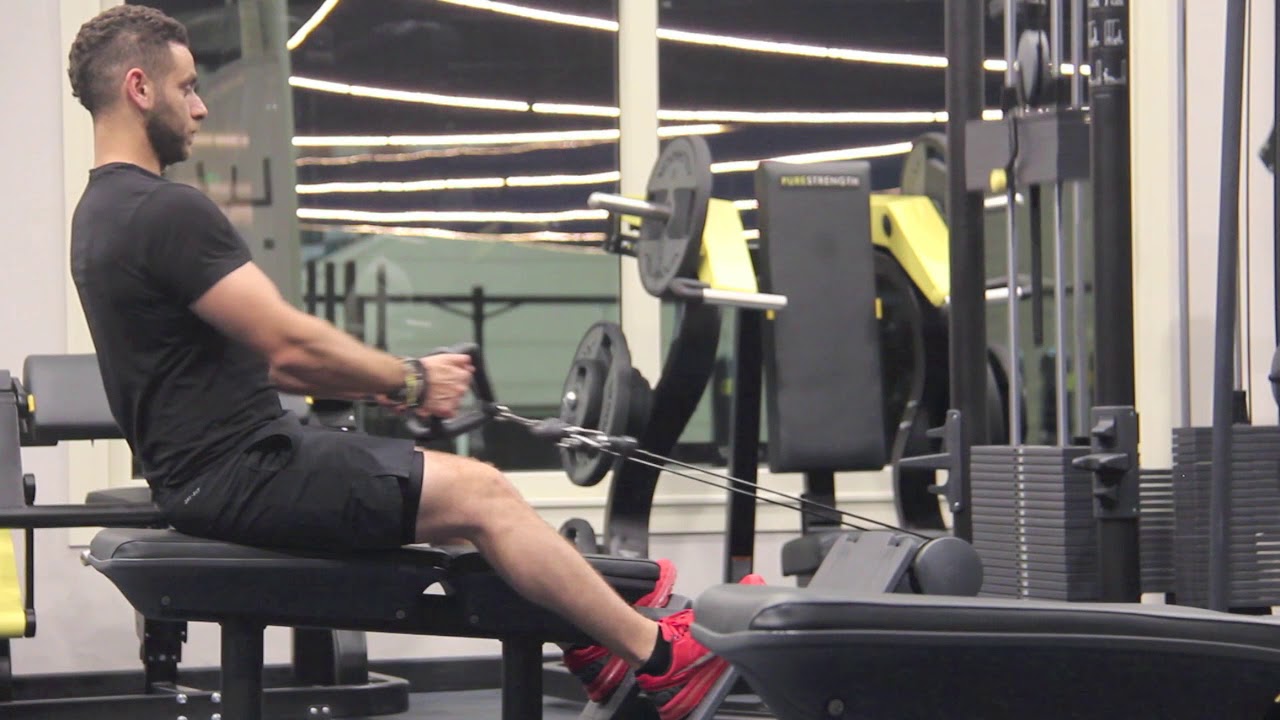 Seated Low Row cable - YouTube