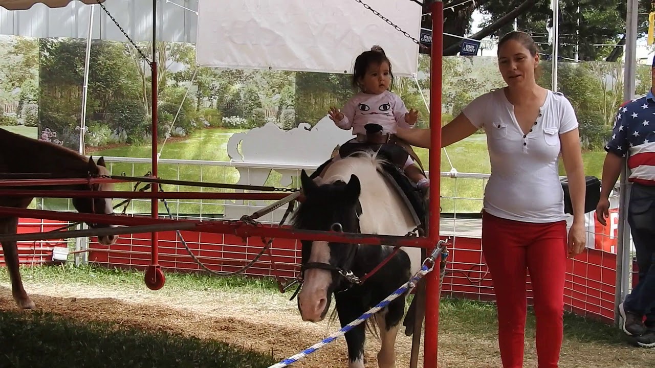 Lexie Pony ride '17 State fair - YouTube