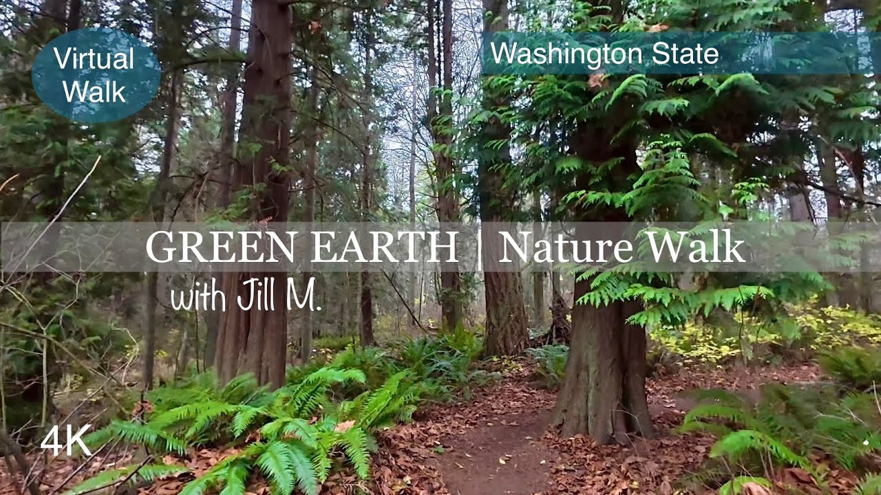 Rainy Day Walk on the Terrell Marsh Trail, Birch Bay State Park, WA ...