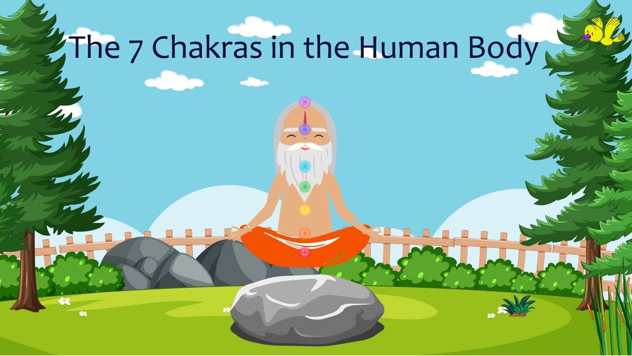7 chakras in human body | 2D Animation | Explained | 2021 - YouTube
