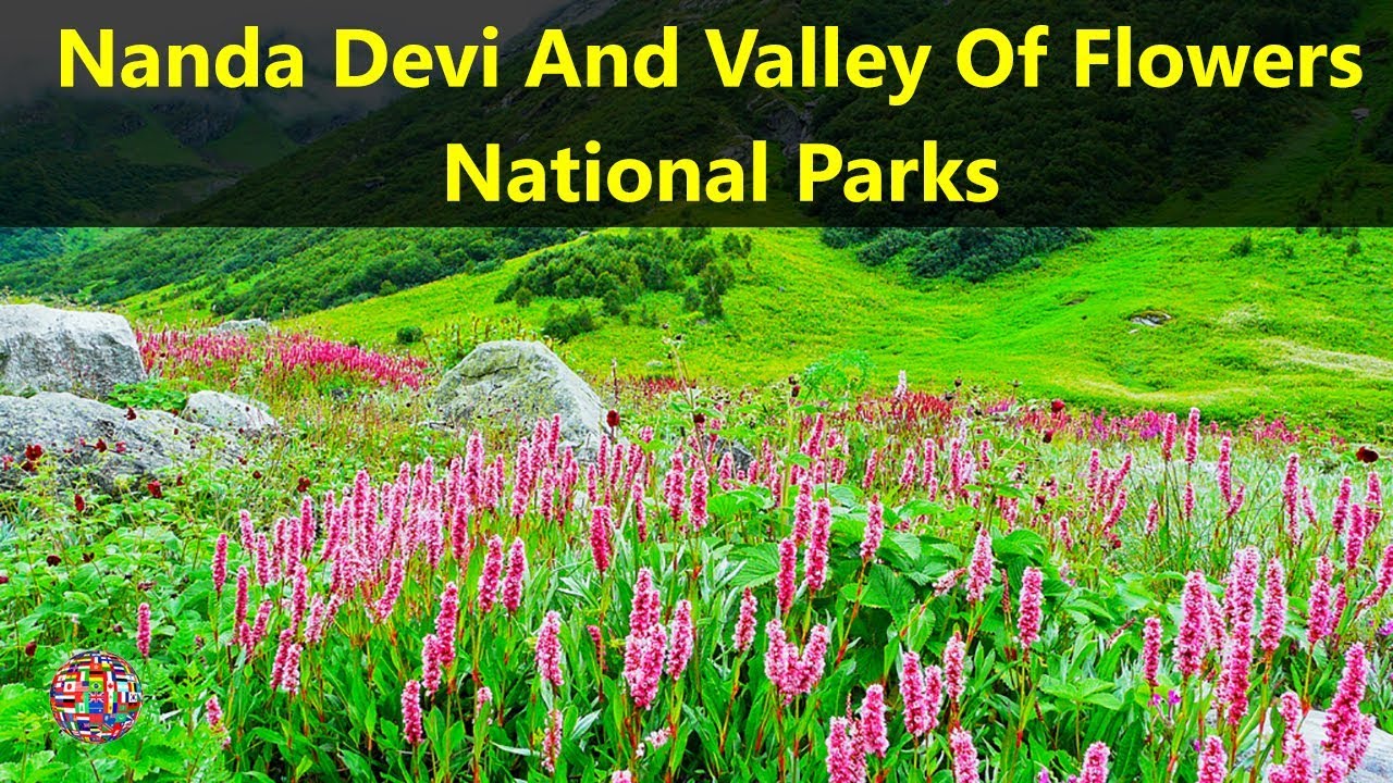 Nanda Devi National Park Flowers