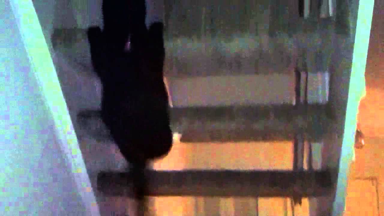 How to climb 3 steps backwards - YouTube