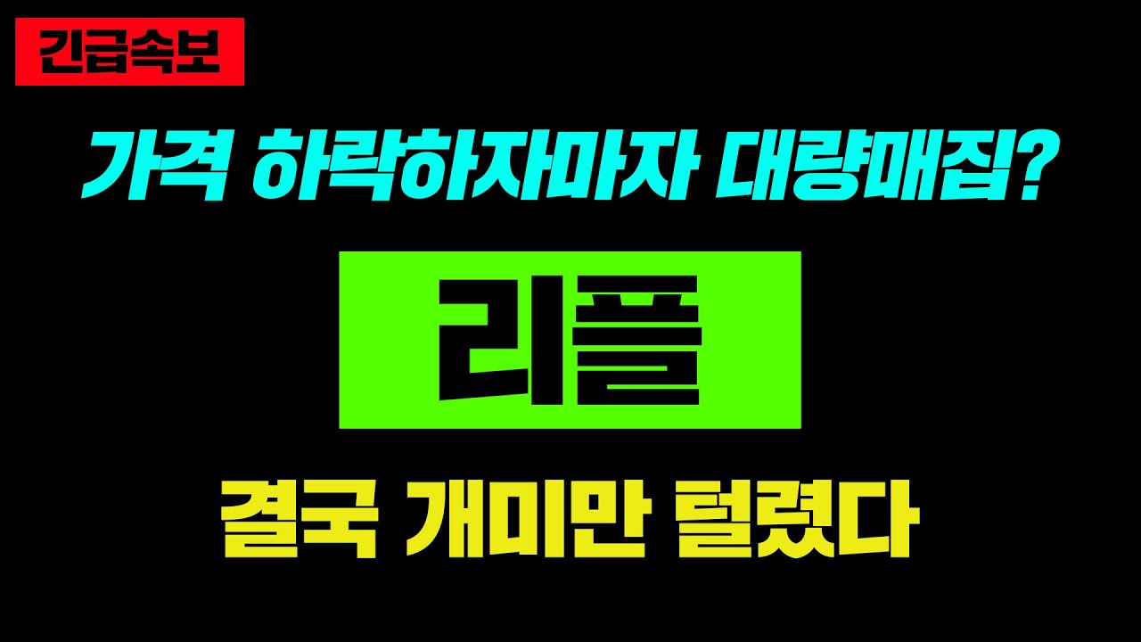 리플 가격 하락하자마자 대량매집 결국 개미만 털렸다 리플 리플전망 리플코인 리플코인전망 리플급등 Youtube