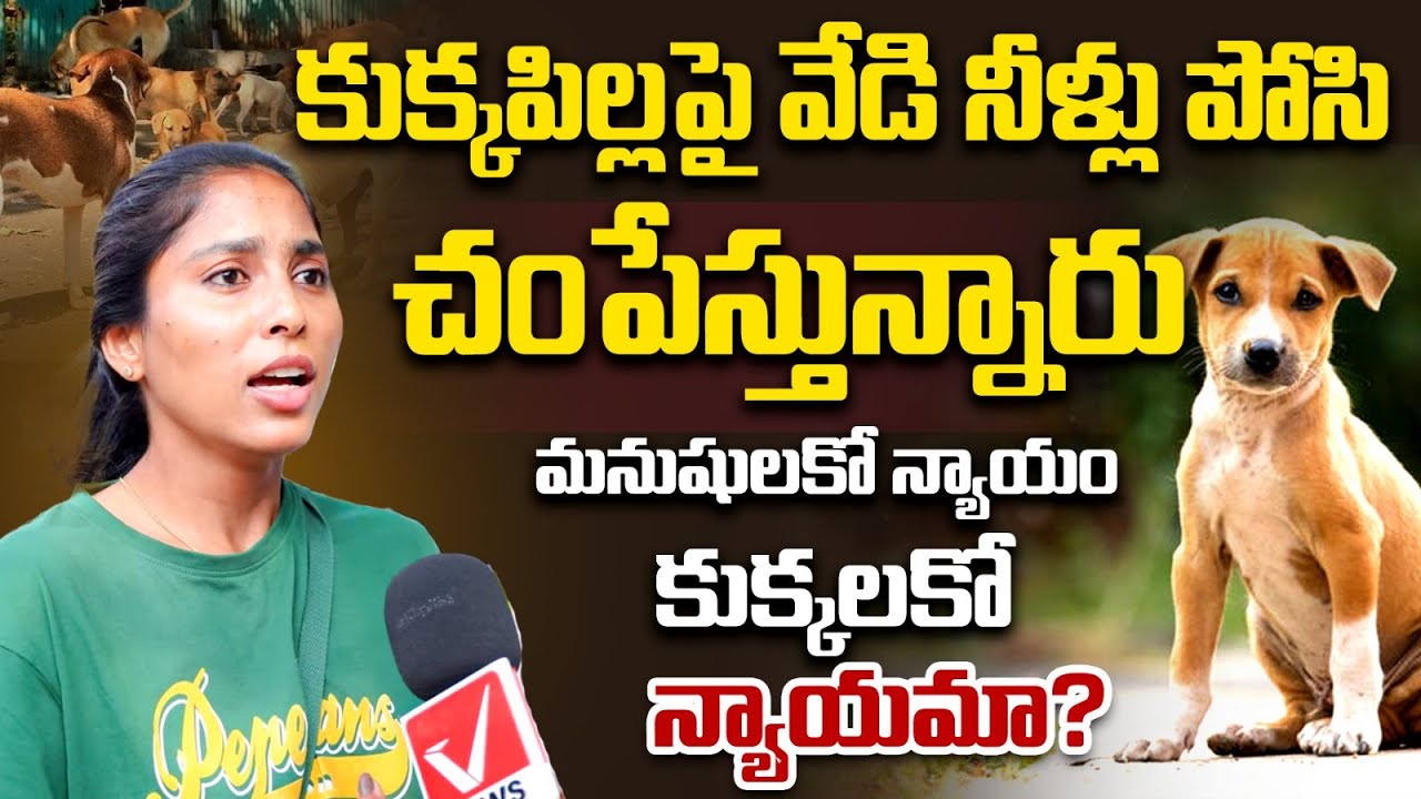 కుక్కలపై జాలి చూపించరా | Public Comments on Street Dogs | Save Street ...