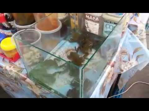 Jugo de Rana en Tacna-Perú - YouTube