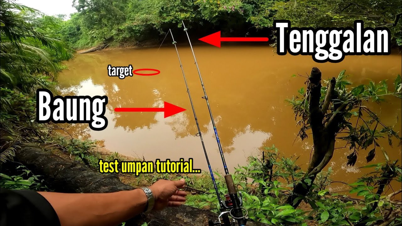 Tidak menghampakan memancing tenggalan bonus ikan baung - YouTube