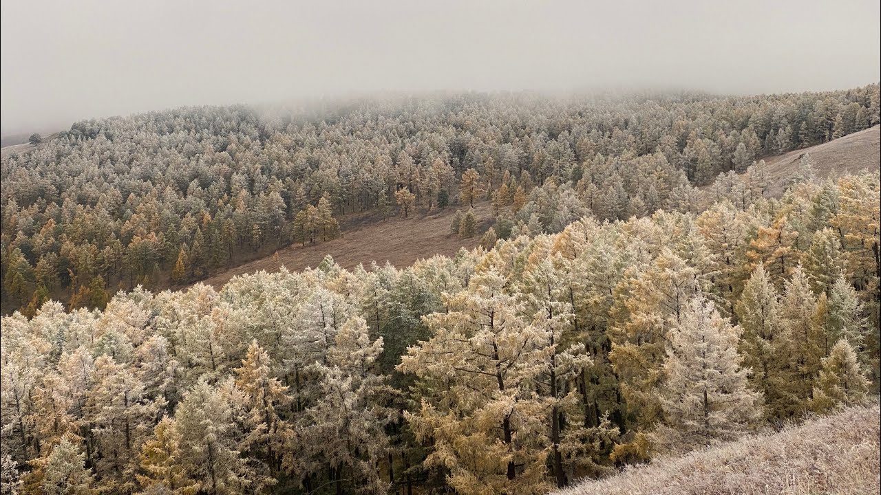 Climbing Chingeltei Mountain: A Frosty Adventure Among Frozen Trees ...