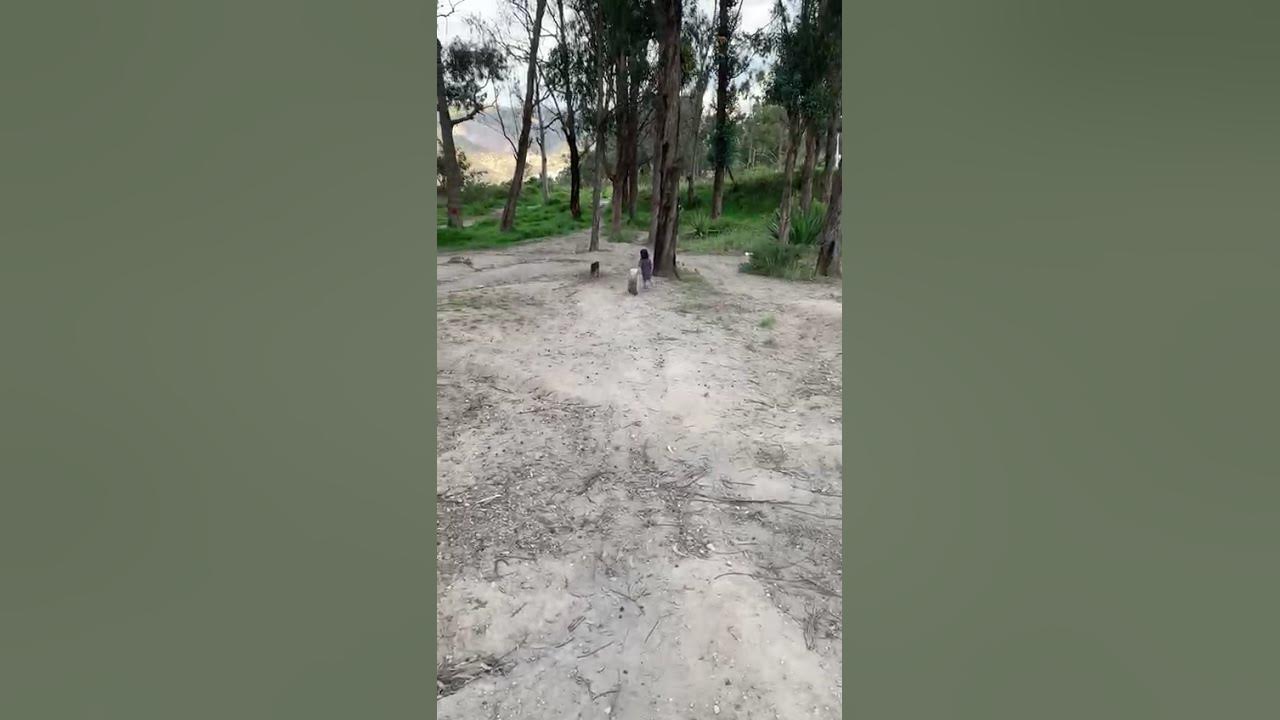 452117a3 f767 4e89 99aa 596ebd03d401 - YouTube