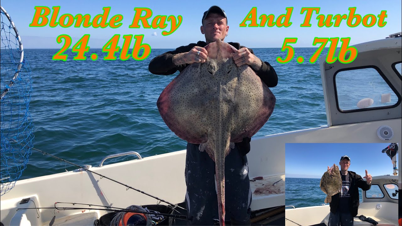 Turbot Fishing!!! Giant 24lb Blonde Ray!!! - YouTube