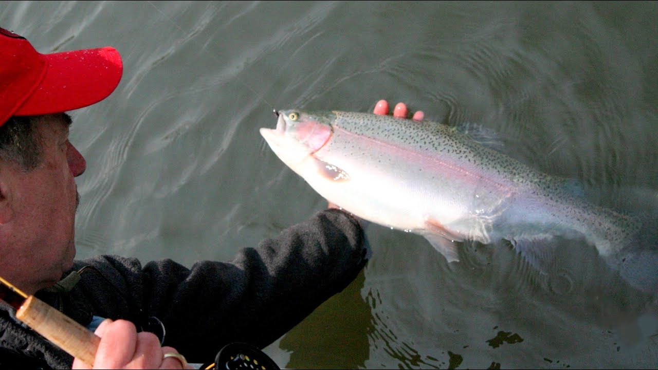 Fly Fishing Stillwaters Early Spring - Action Snippet - YouTube