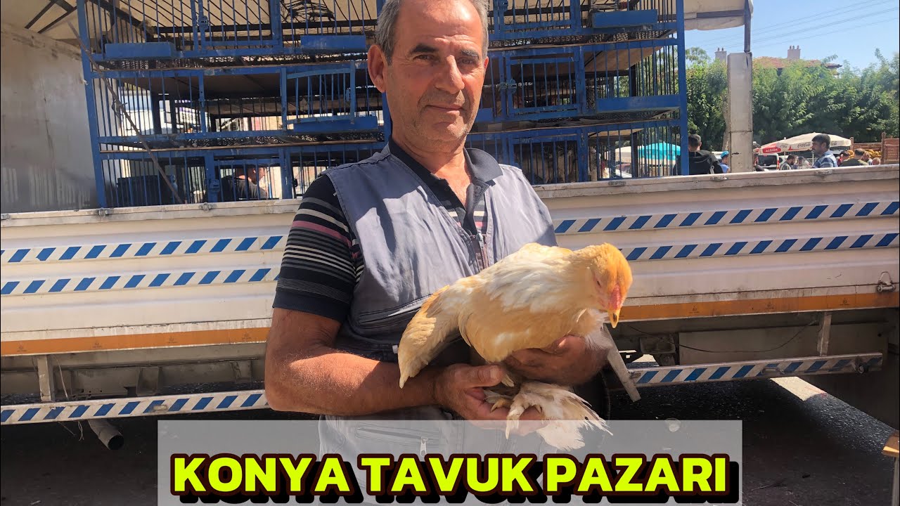 KONYA KANATLI HAYVAN PAZARI - YouTube