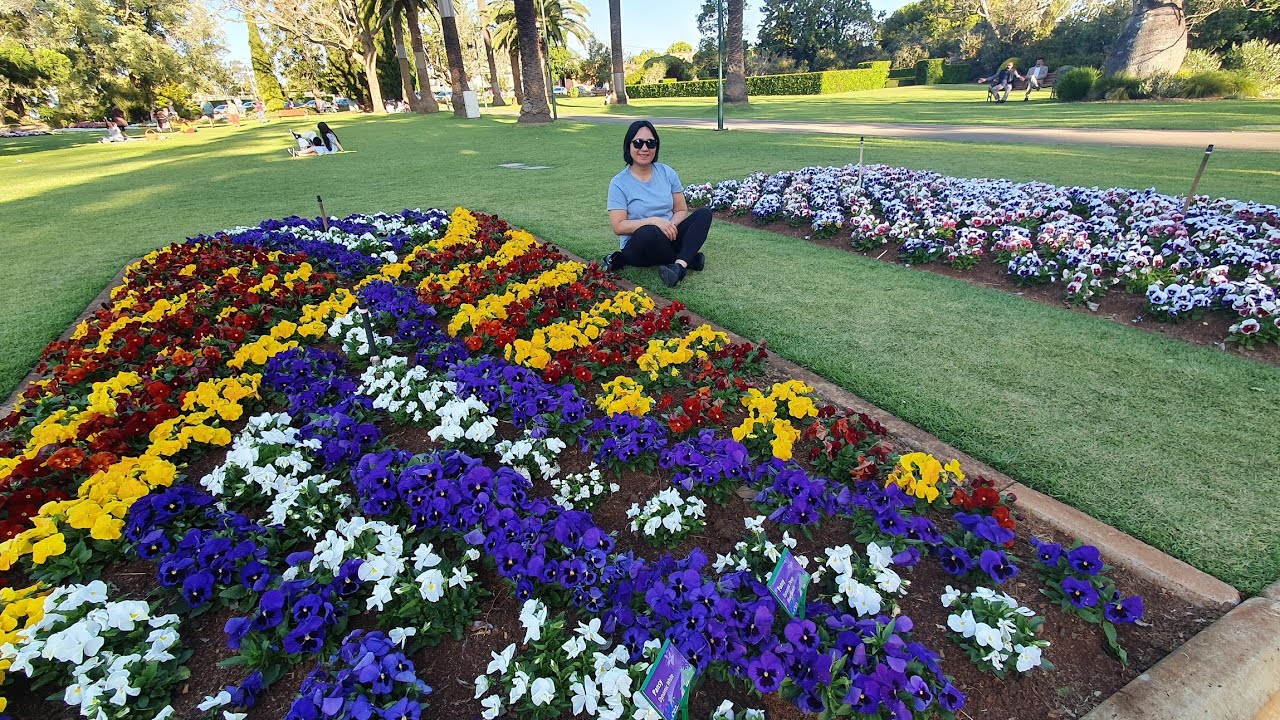 Toowoomba Flower Festival | Rizaslifejourney - YouTube