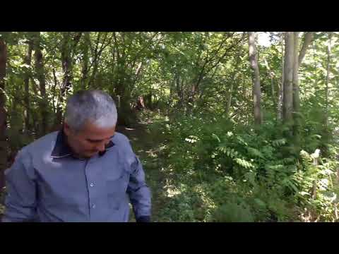 Süz qram qram