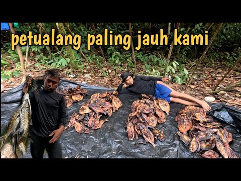 Petualang paling jauh : IKAN di sini belum terjamah oleh manusia