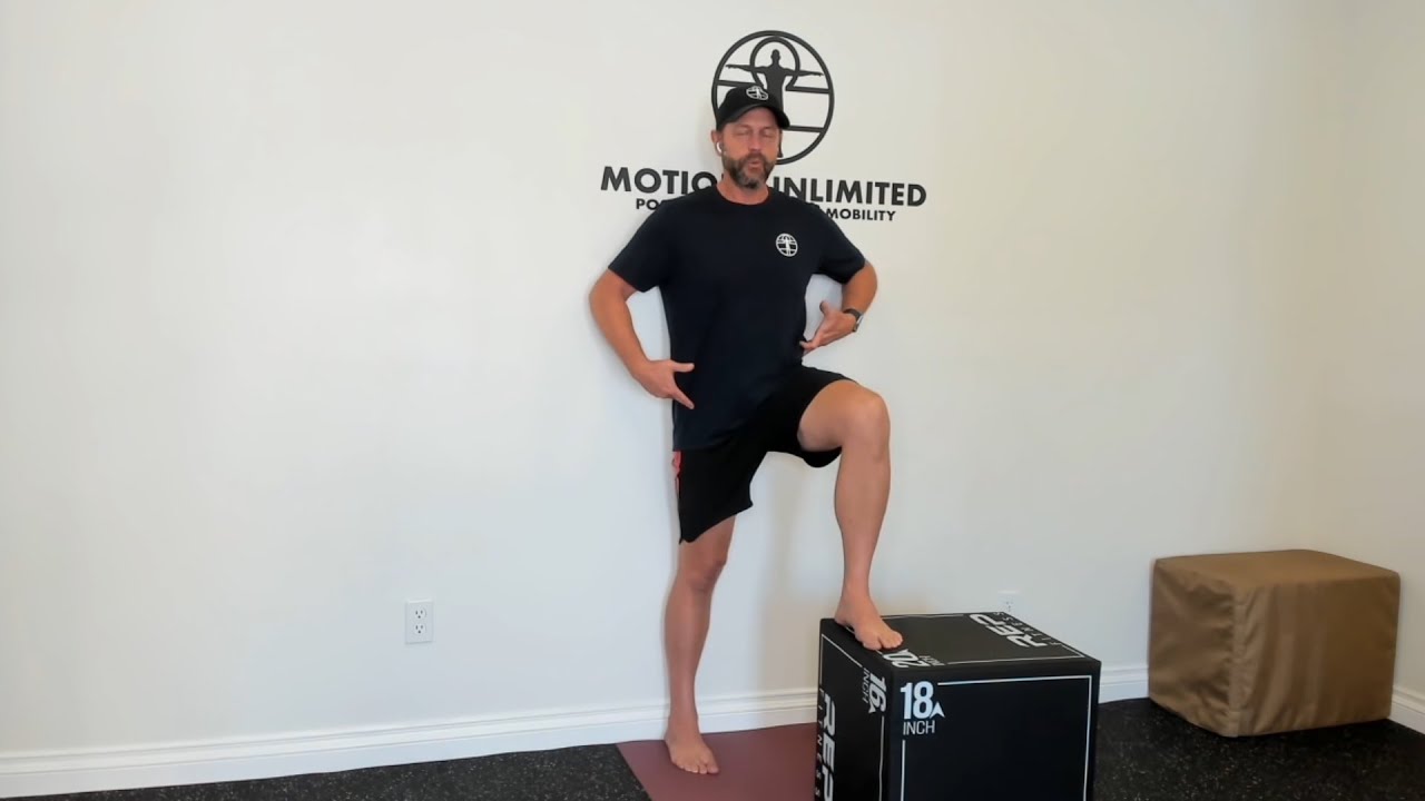 Wall Stork - YouTube