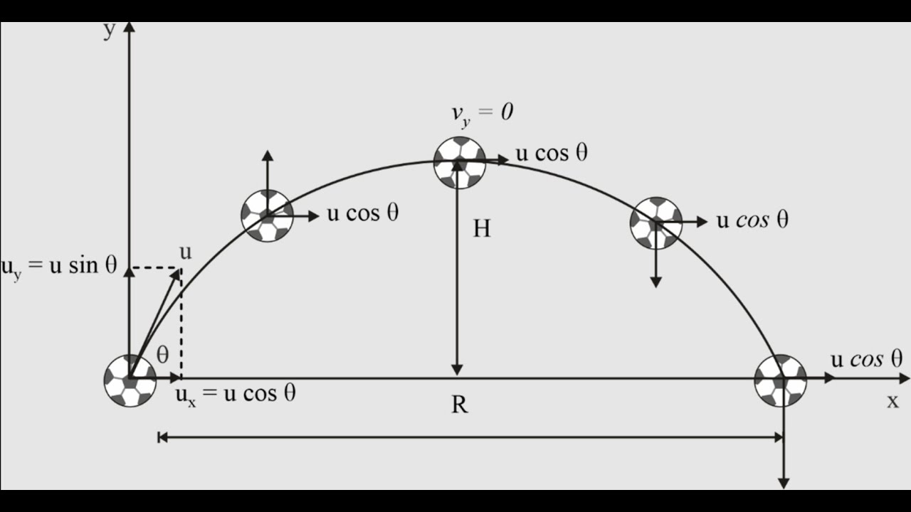 GRADE 12|PHYSICS|VERTICAL PROJECTILE MOTION - YouTube