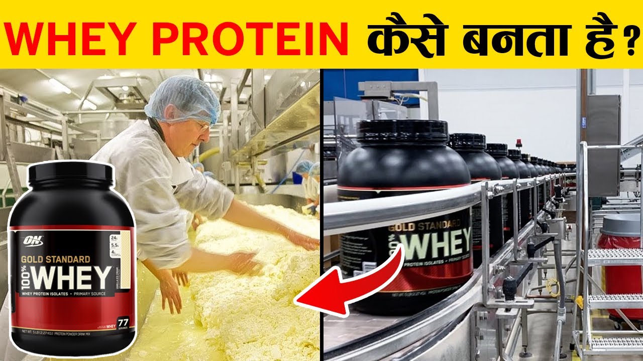 फैक्ट्री में WHEY PROTEIN पाउडर कैसे बनता है? How is 'WHEY PROTEIN ...