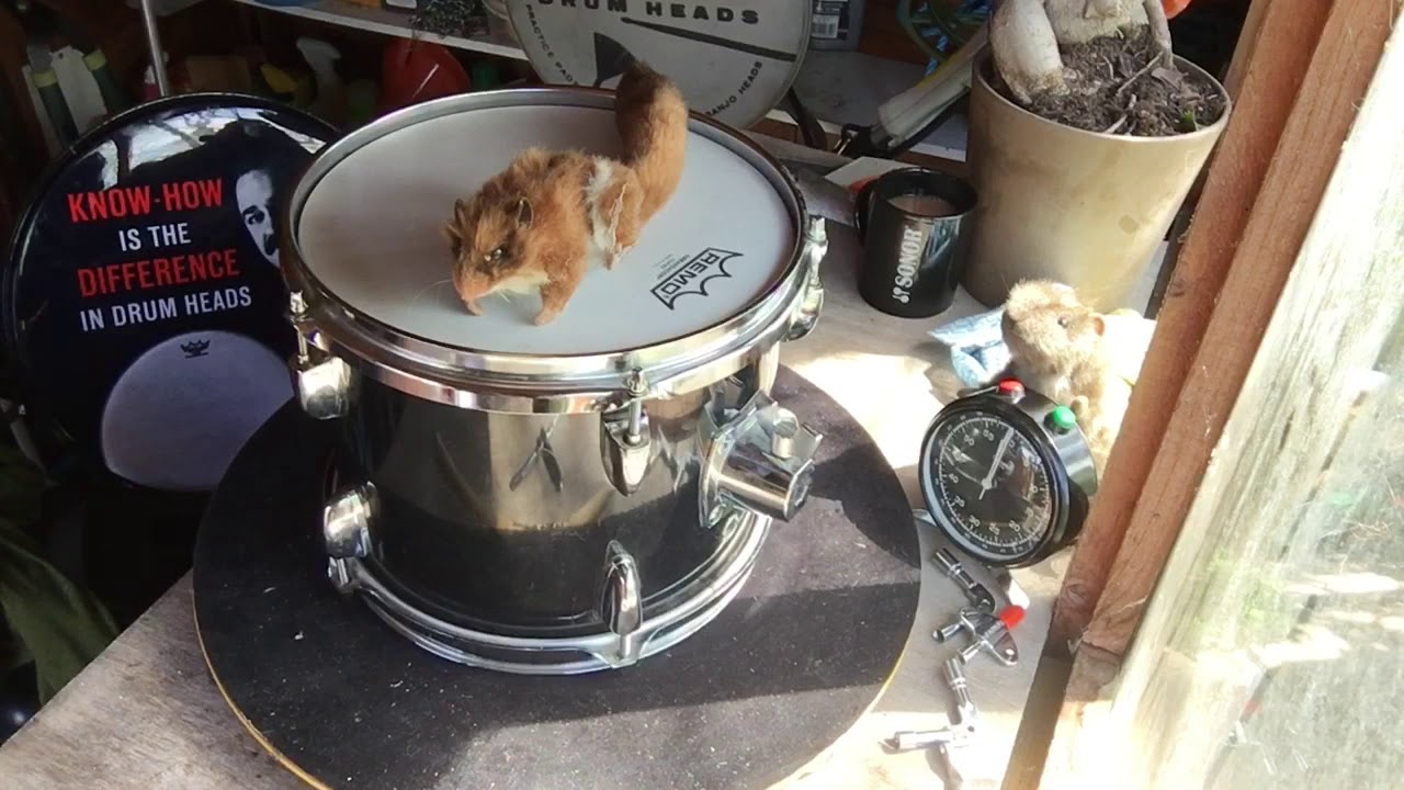 The Fastest Drum Tuning Trick Ever? - YouTube