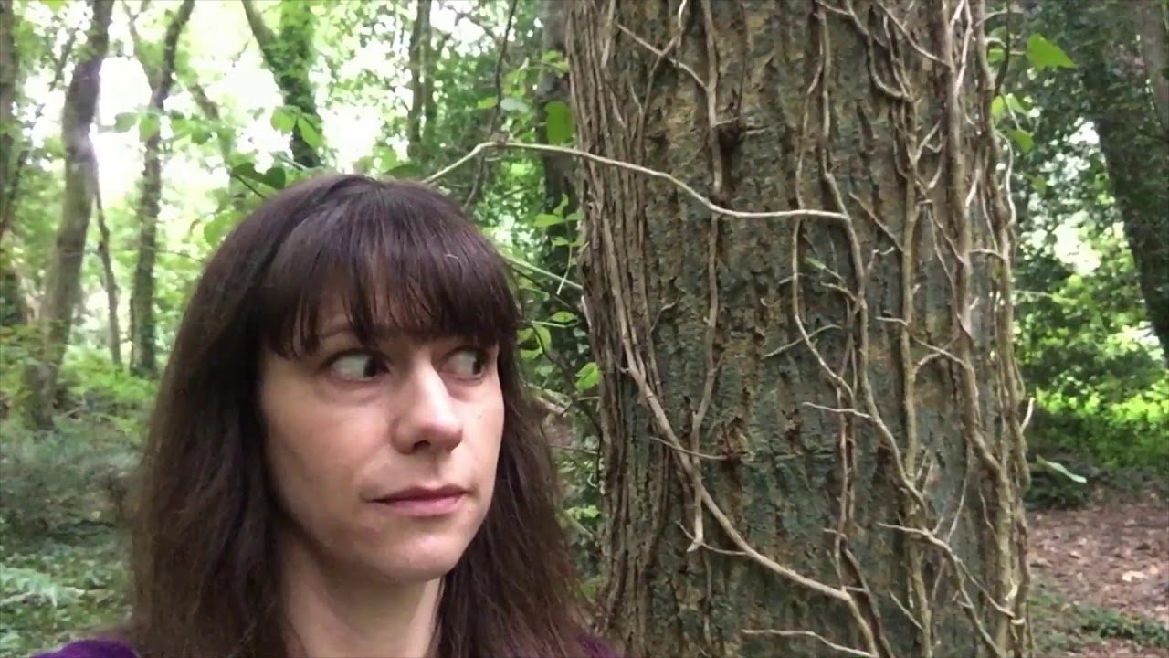 Creatures One and All - a song for Charis - YouTube