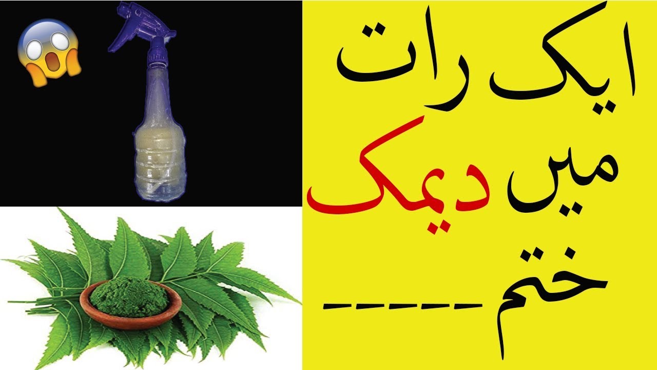 Aik Raat Main Demaak Khatam Karen - Deemak Marne Ka Zabardast Spray ...
