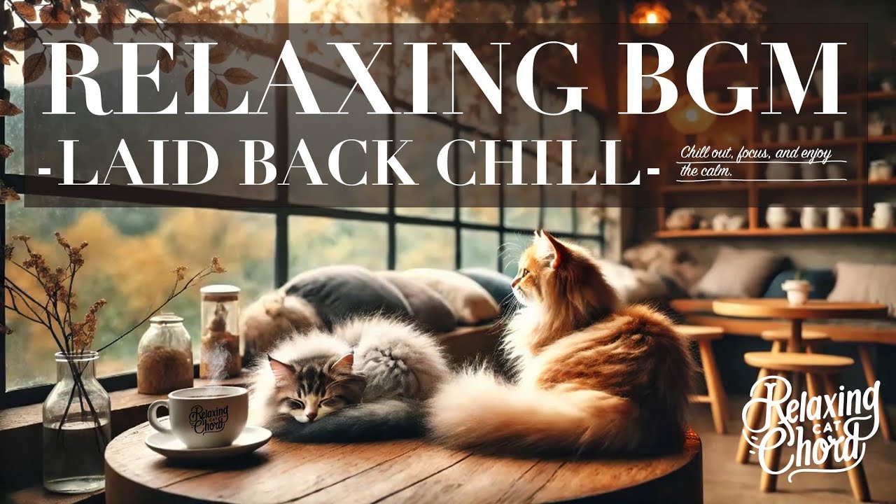 LAID BACK CHILL - Relaxing LOFI Beats for healing & Relaxation | レイドバック ...